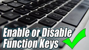 How to Enable, Disable function keys FN + F1, F2, F3, ... F12 on Laptop